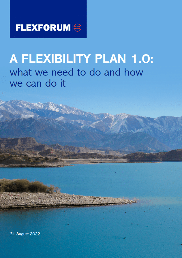 Flexibility Plan - FlexForum